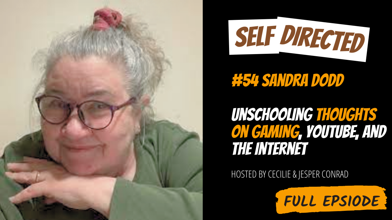 #54 - Sandra Dodd | Unschooling thoughts on gaming, YouTube and the ...