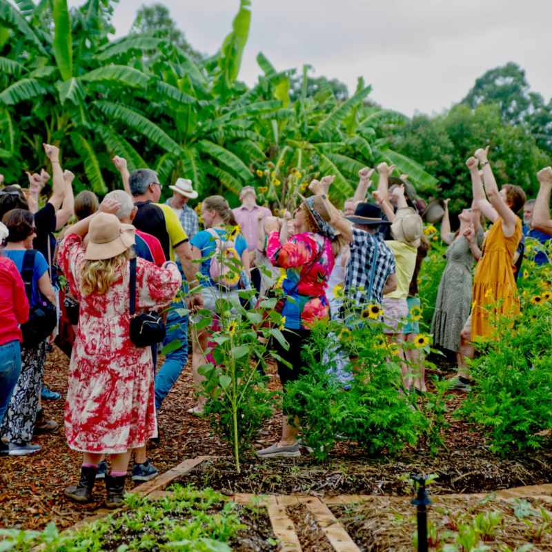 Friend of the Farm - Green Thumb Farm
