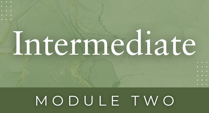 Intermediate Module 2 (2023-2024 Cohort)