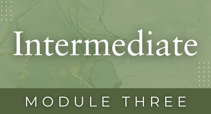 Intermediate Module 3 (2023-2024 Cohort)