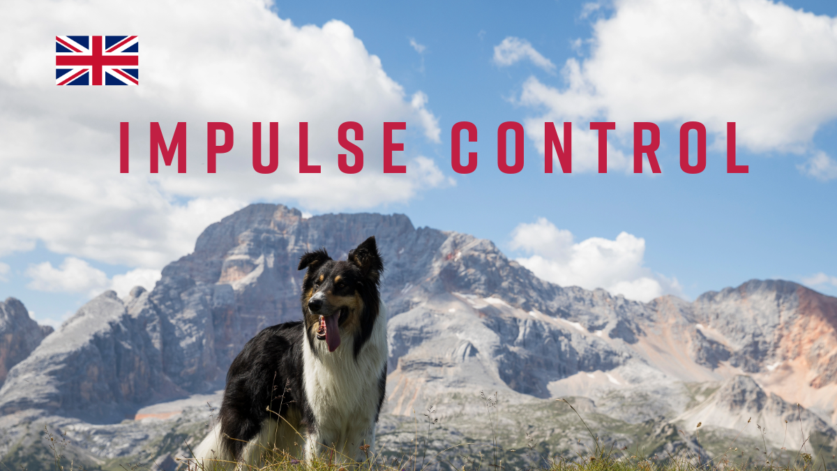 IMPULSE CONTROL - Onlinehund