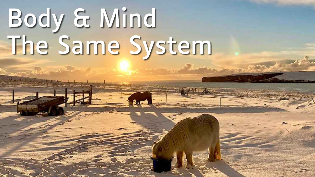 Body and mind - the same system Diane Taylor