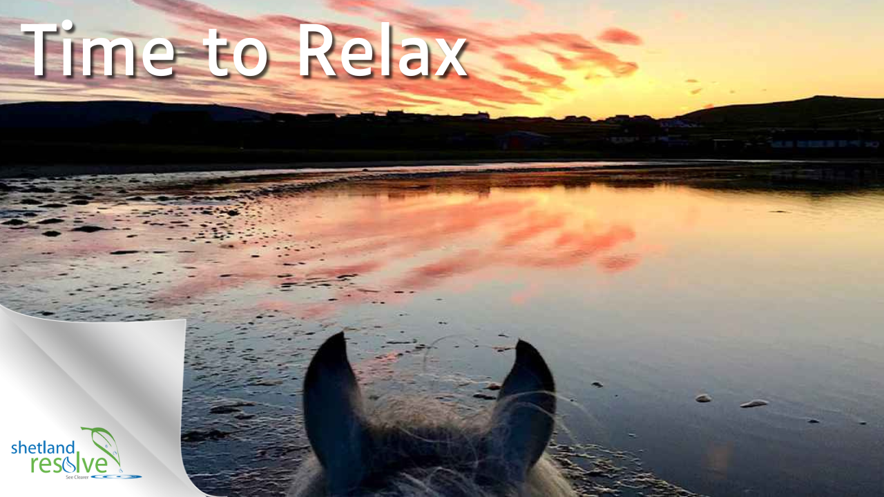 Time To Relax Diane Taylor