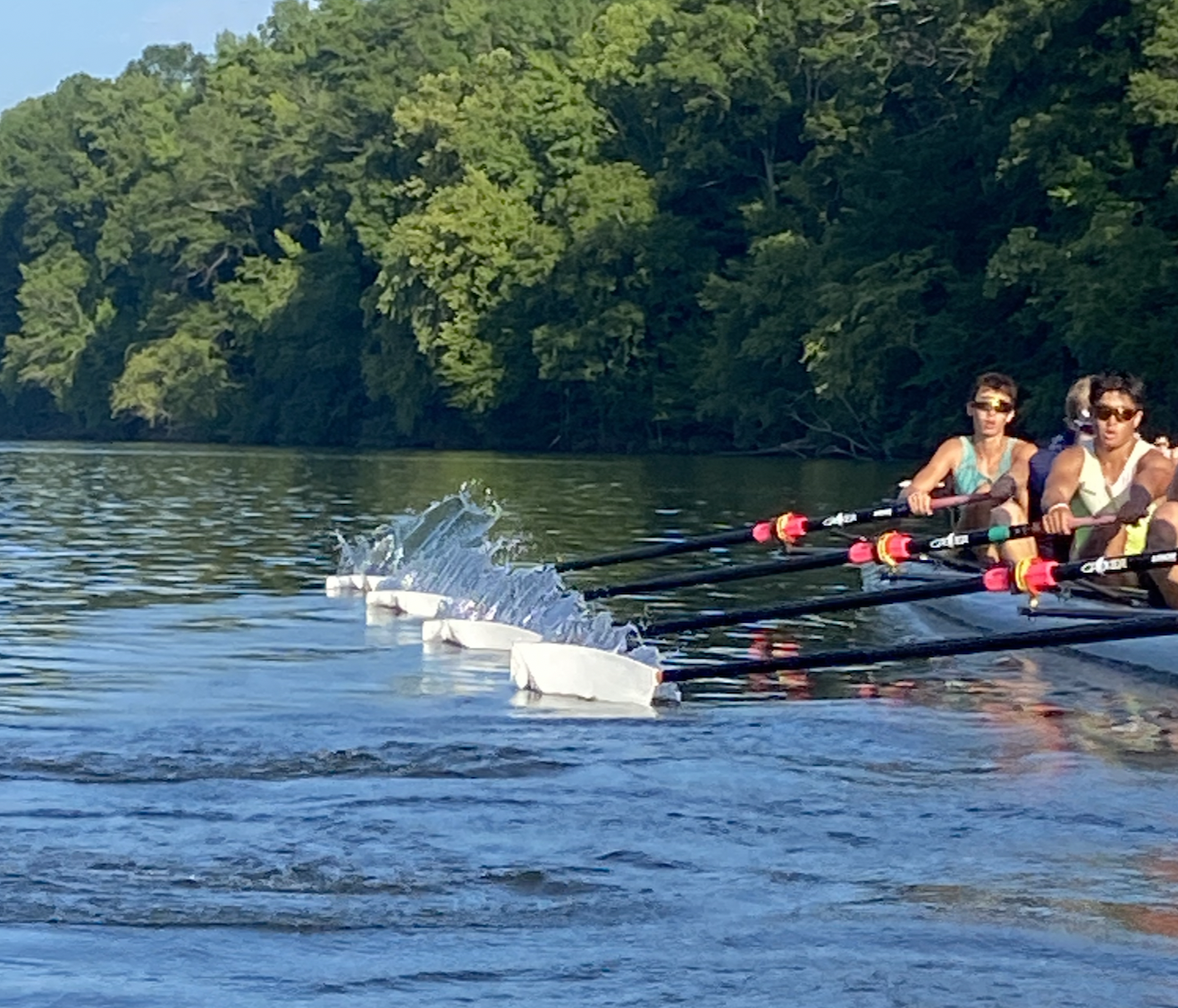 RSR Elite - Interest Registered - Ready Set Row