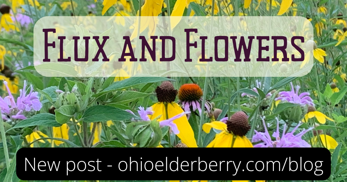 Flux and Flowers - Ohio Elderberry Farm + Kitchen