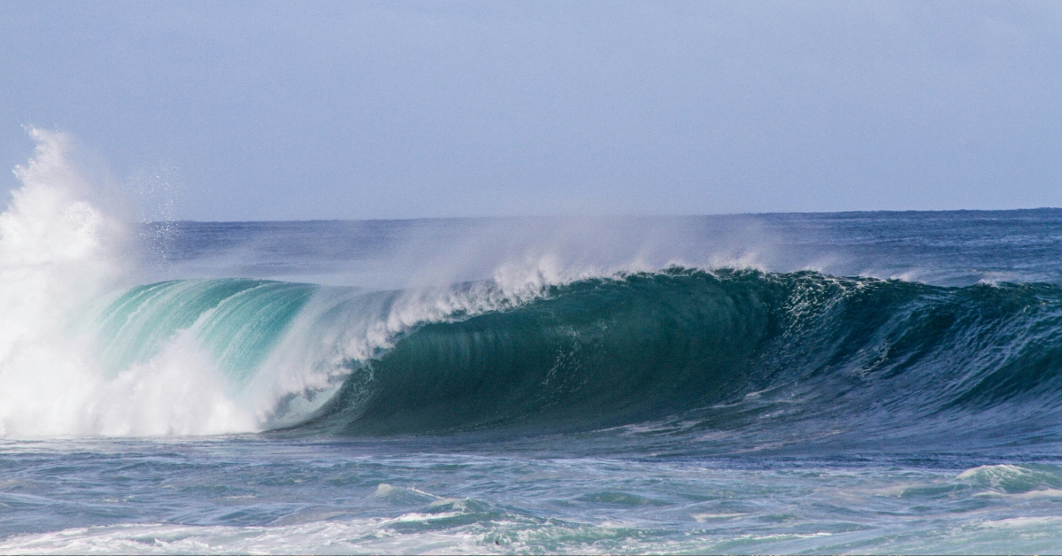 What happens when the wave hits? - Awaken Coach Institute