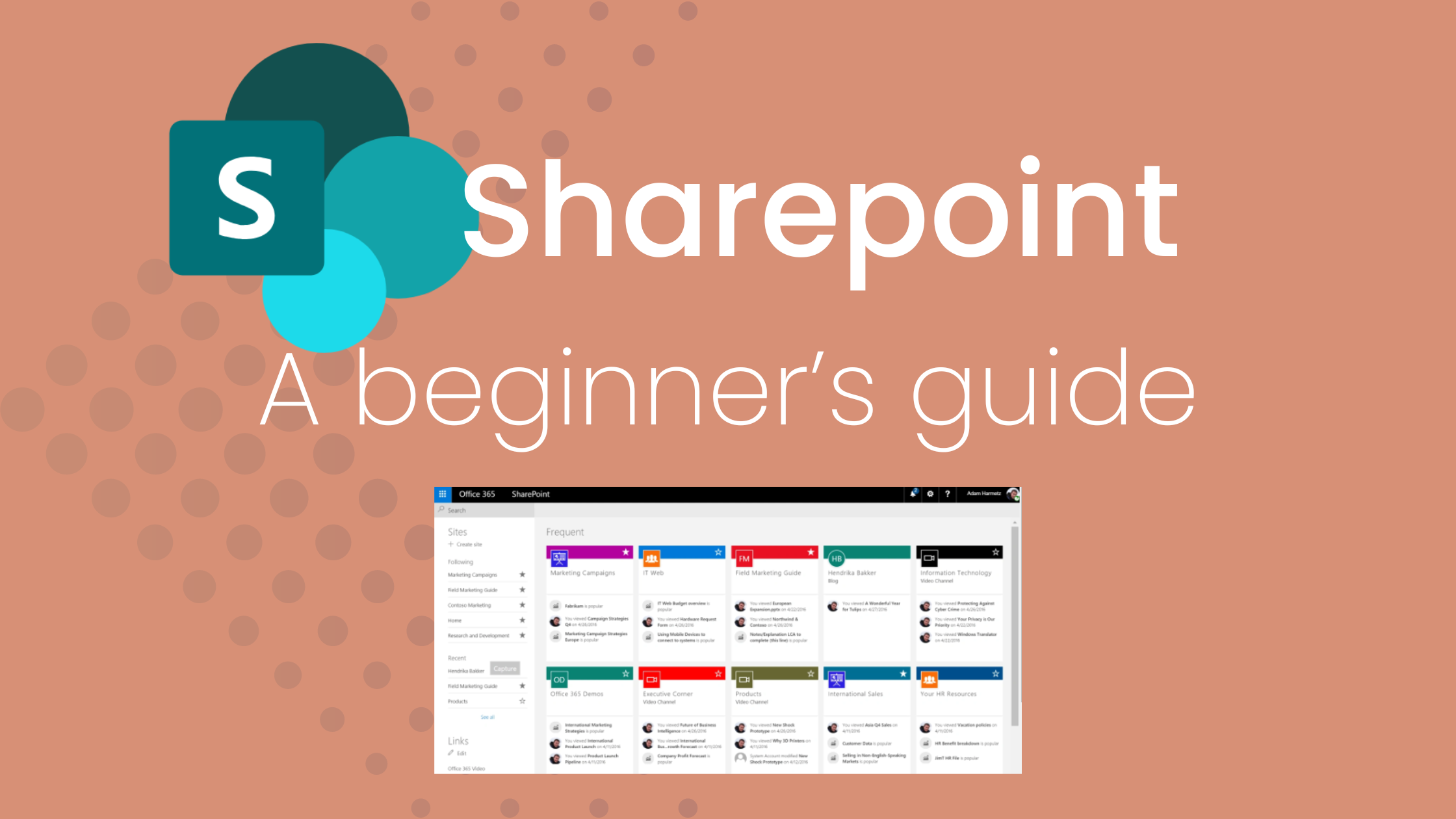 A beginner's guide to Sharepoint - Thrive Admin Services