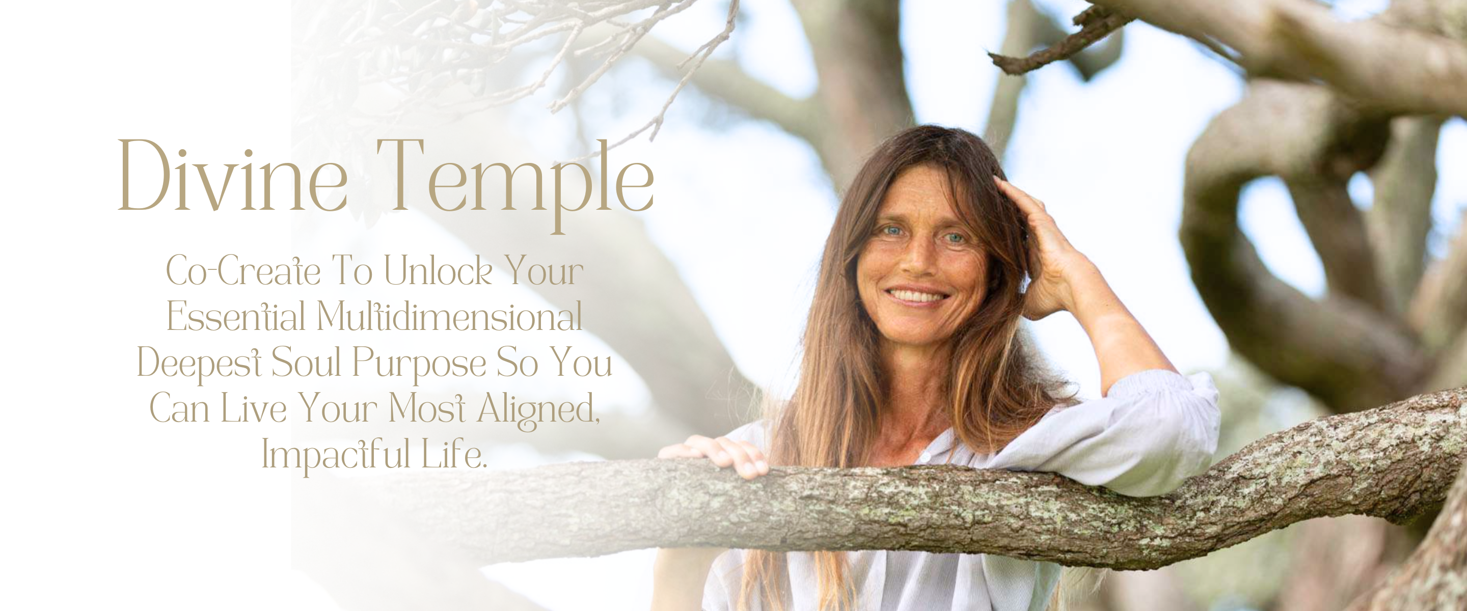 Home - Divine Temple