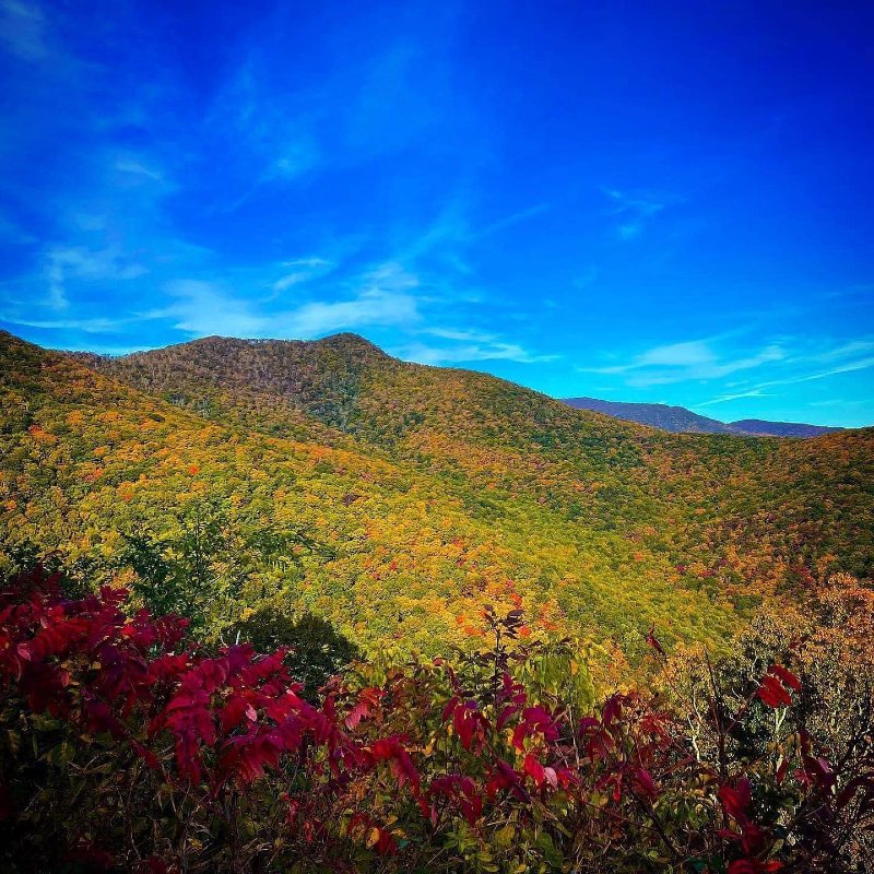 Day 25 of the Apocalypse, Ground Zero, Gerton, NC pop. 231 Emma Churchman