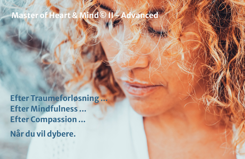 MASTER of HEART & MIND© II - ADVANCED