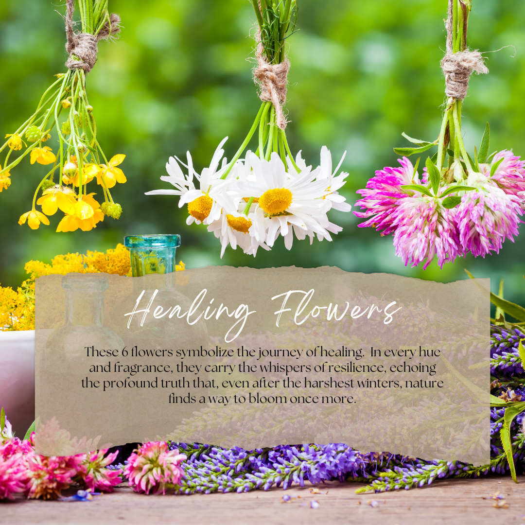 Nature's Medicine: Six Flowers of Healing Creative Delight Studio