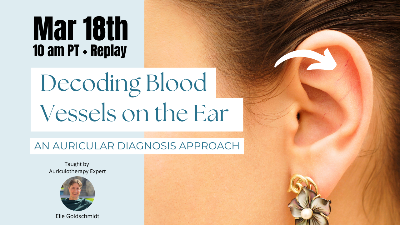 Decoding Blood Vessels on the Ear
