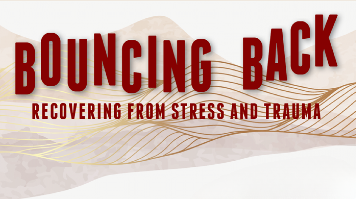 Curated Recording Bundles - recordings