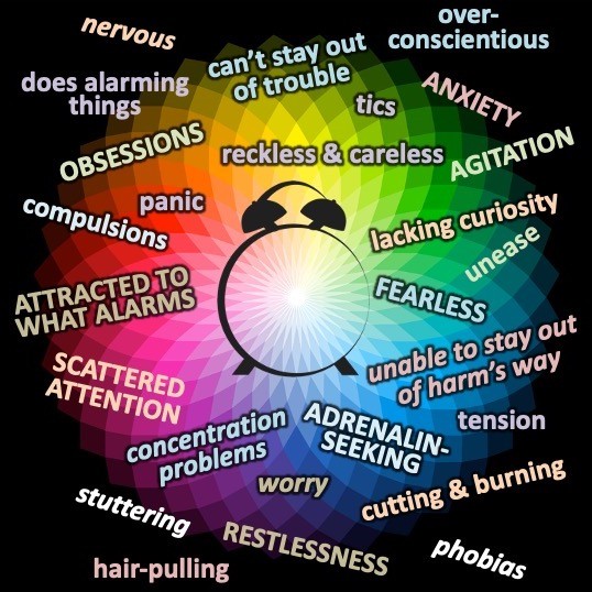 Restless: What’s behind the stories of anxiety, attention problems and ...