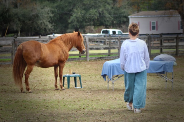 The Listening Field - Unbridled LLC/Kim Hallin