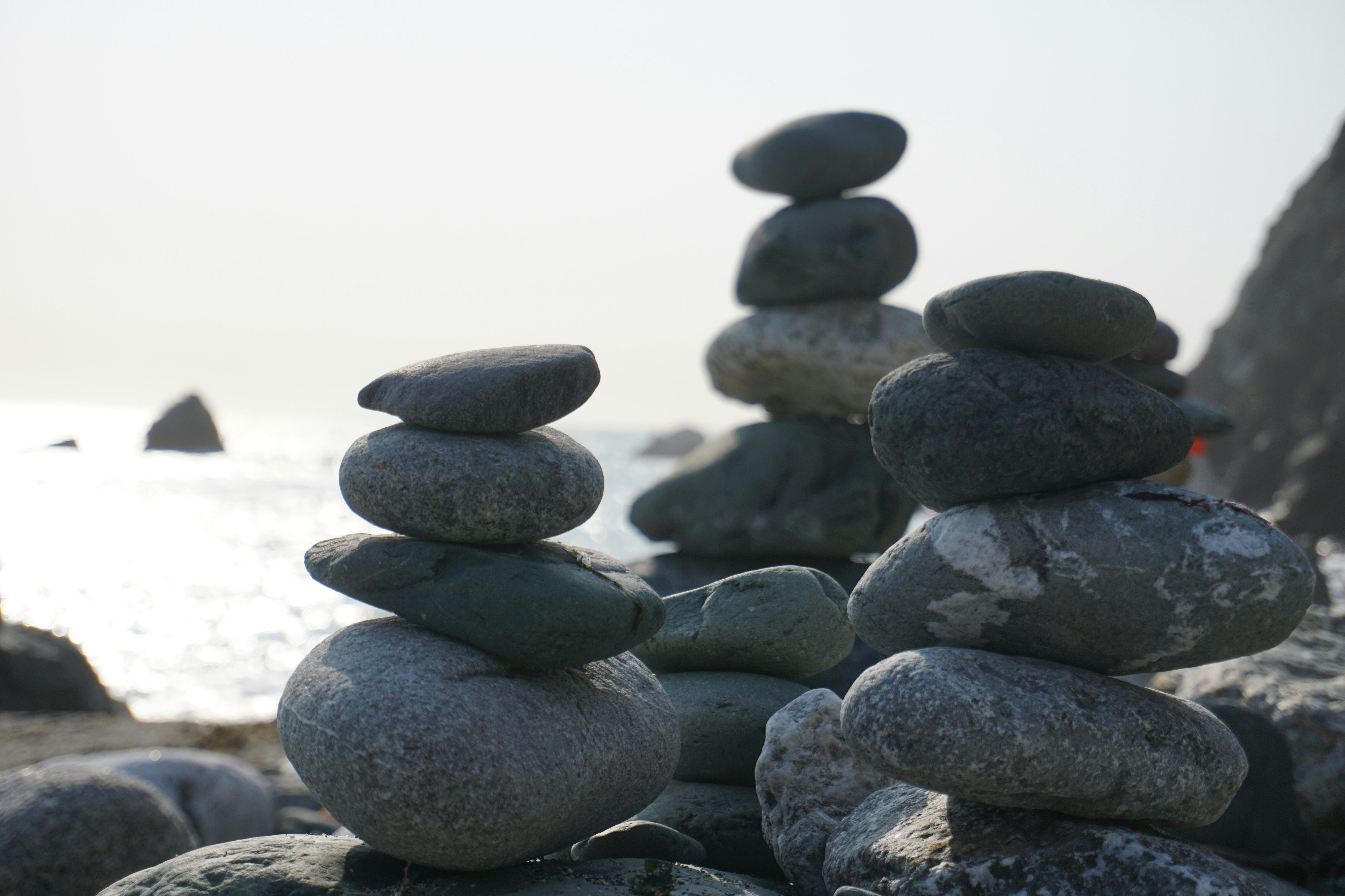 Mindful Monday Recap: The 9 Foundational Attitudes of Mindfulness