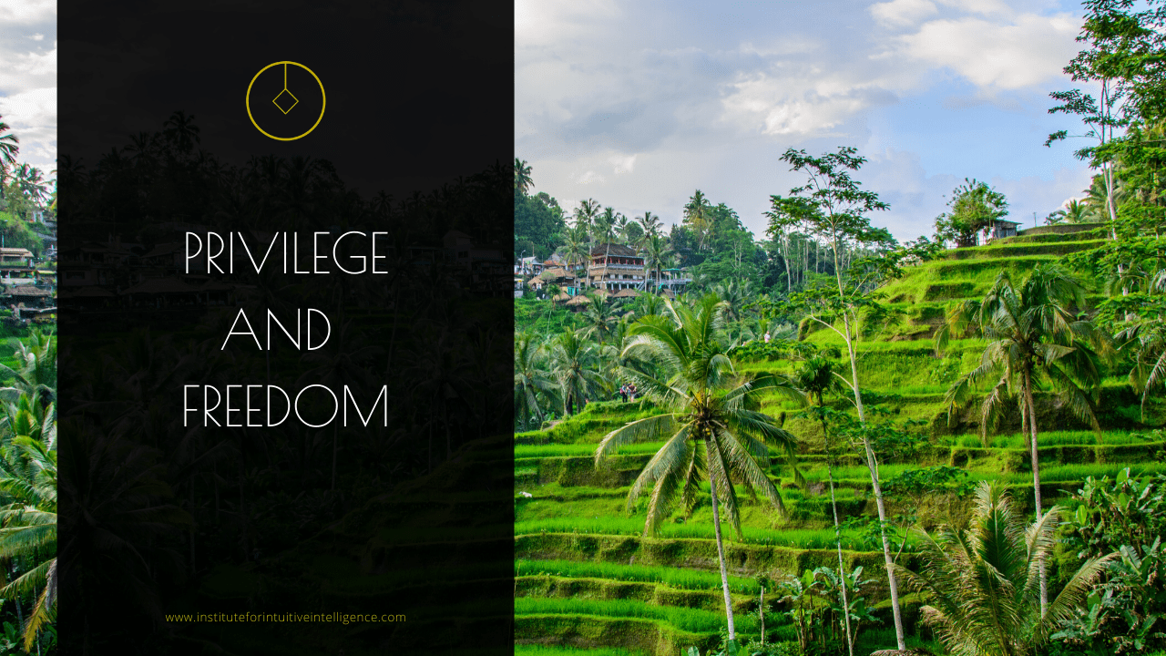 Privilege and Freedom Institute for Intuitive Intelligence