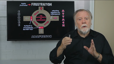 Neufeld’s Traffic Circle Model of Frustration