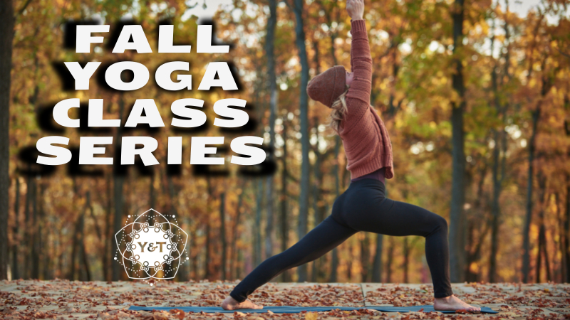 Schedule - Yoga & Tea Studio