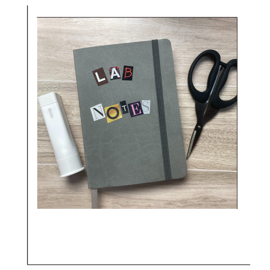 LAB NOTES: 08-19-25 Cows, color combos, and correction fluid Explore ...