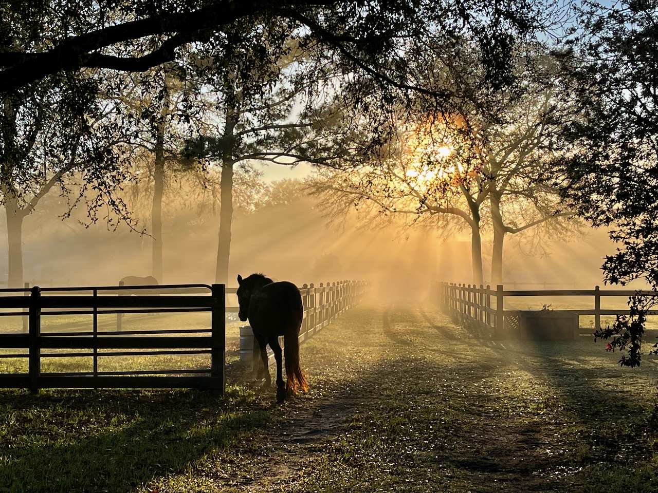 Home Page - Unbridled LLC/Kim Hallin