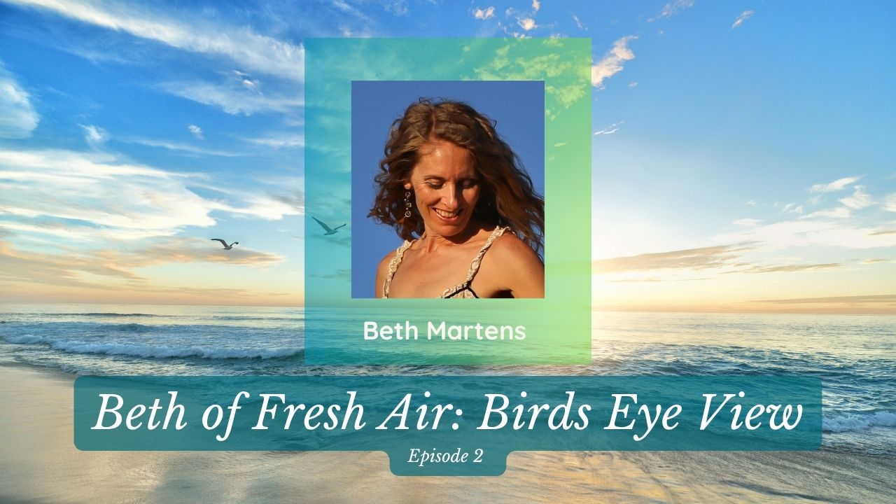 Beth of Fresh Air - Episode 2: Bird's Eye View