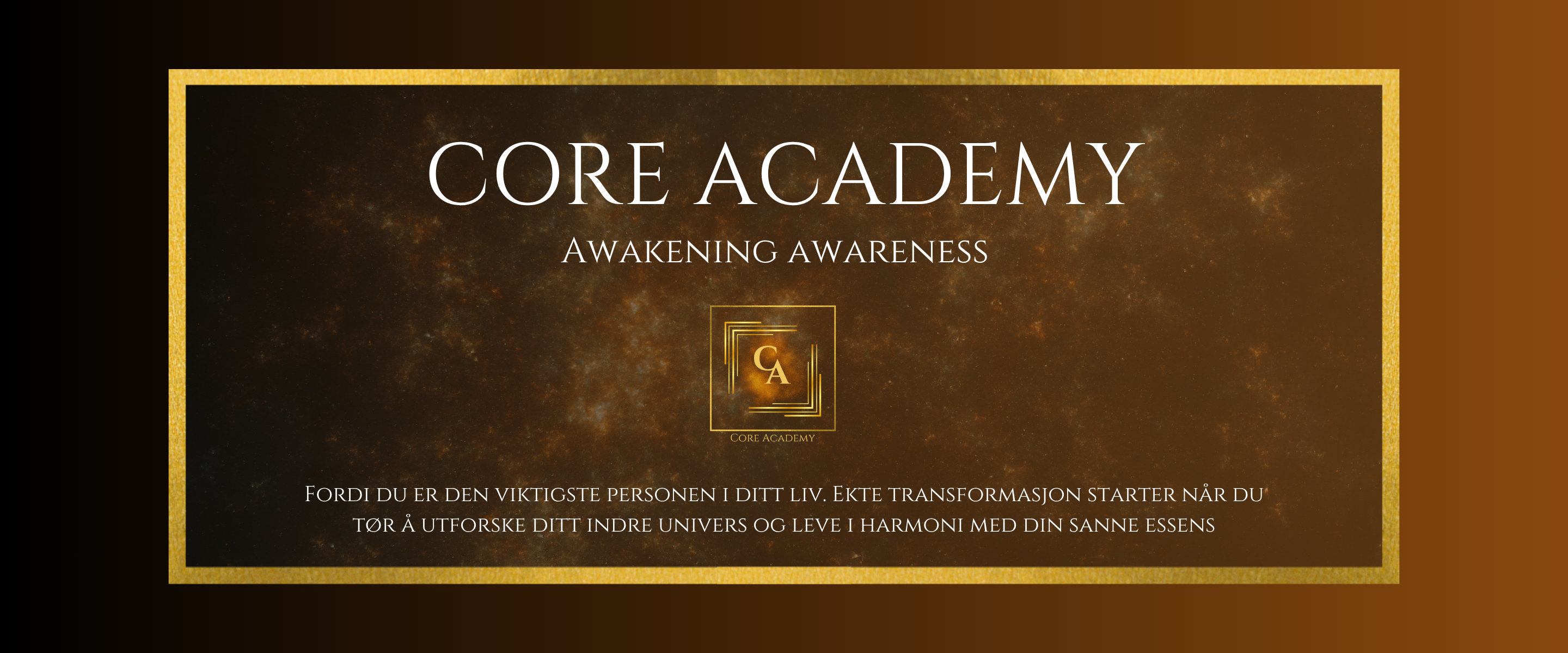 Hjemmeside - Core Academy