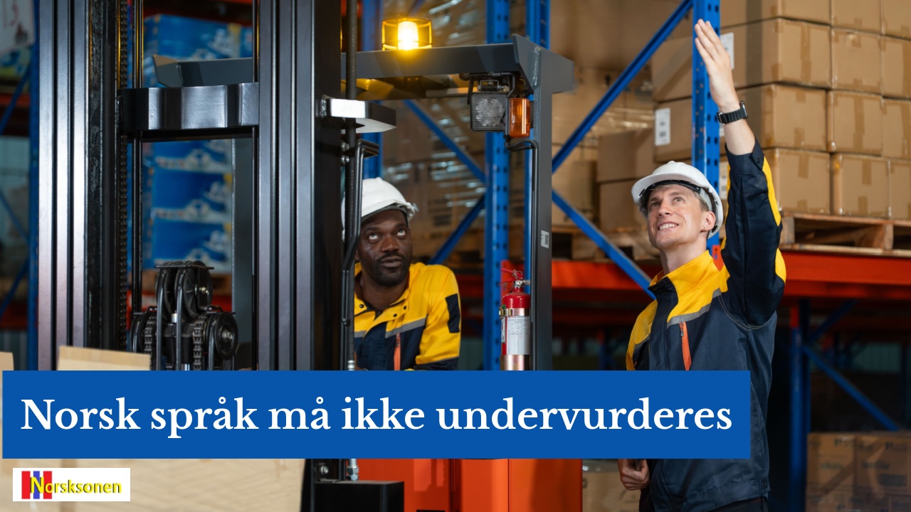 Norsk språk må ikke undervurderes - Annelen Stenbakken