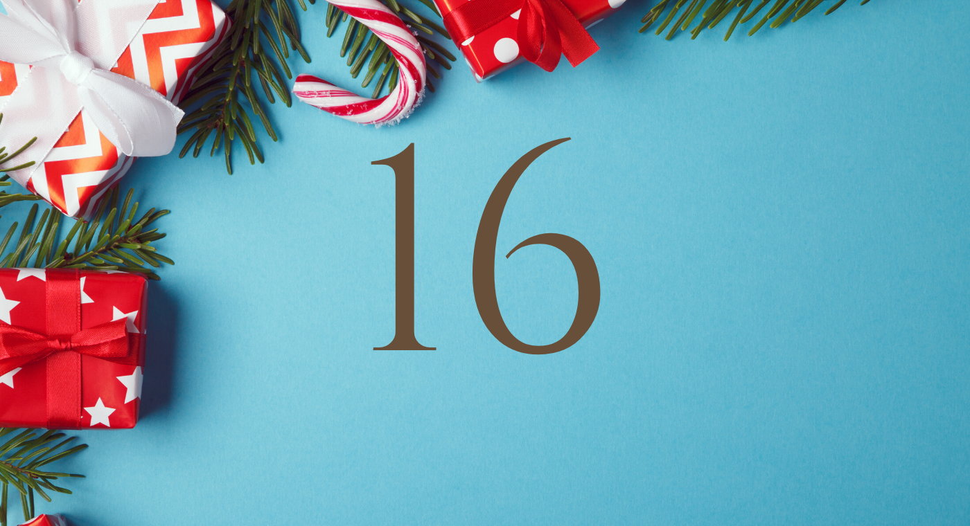 16. DECEMBER - Ridesikkerhed.dk