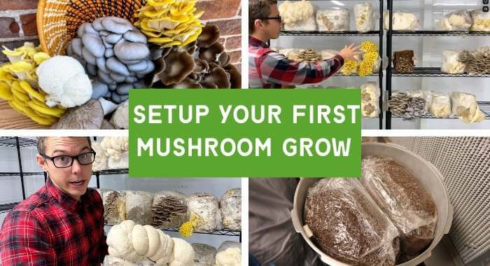 Setup Your First Mushroom Grow - Small Farm University
