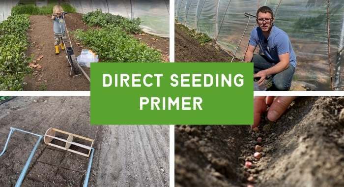 Direct Seeding Primer - Small Farm University