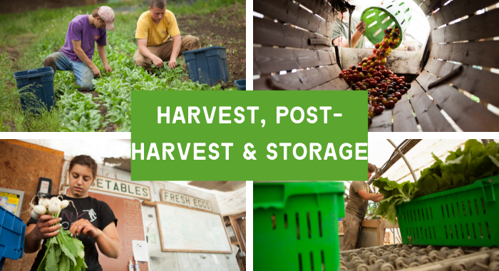 Harvest, Post-Harvest, and Storage - Small Farm University