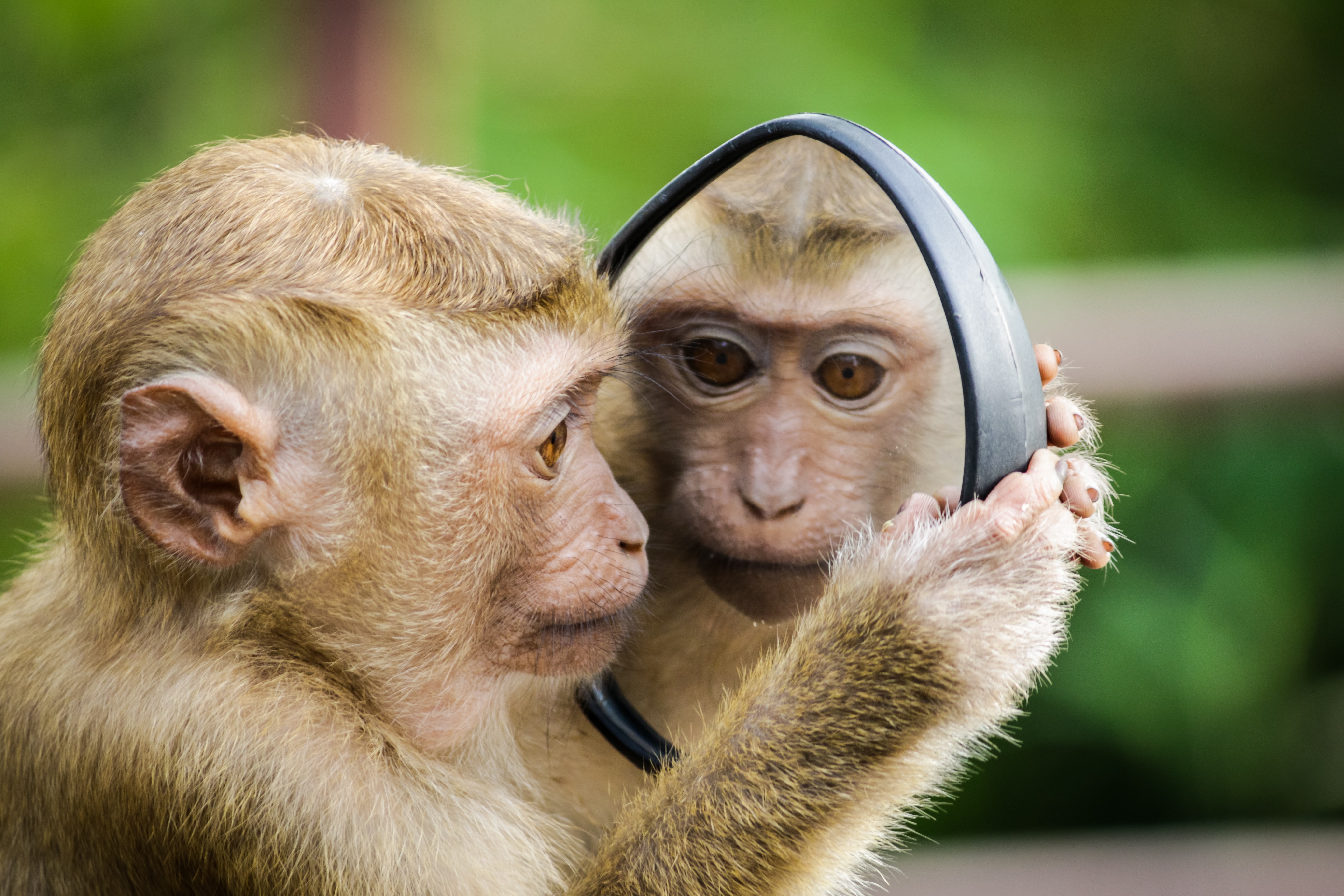 Get the Monkey Off Your Back - Kae Wagner