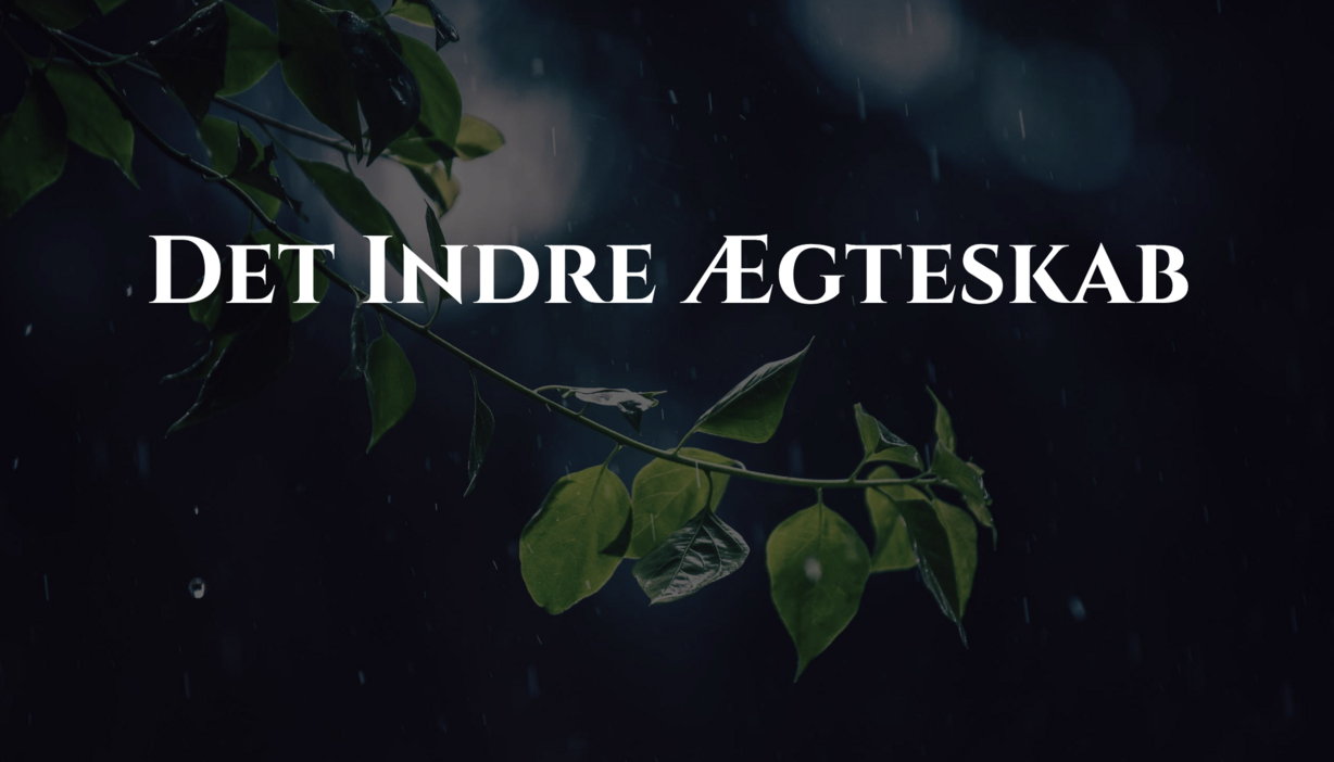 Read more - Inner Marriage retreat - Jesper Westmark online