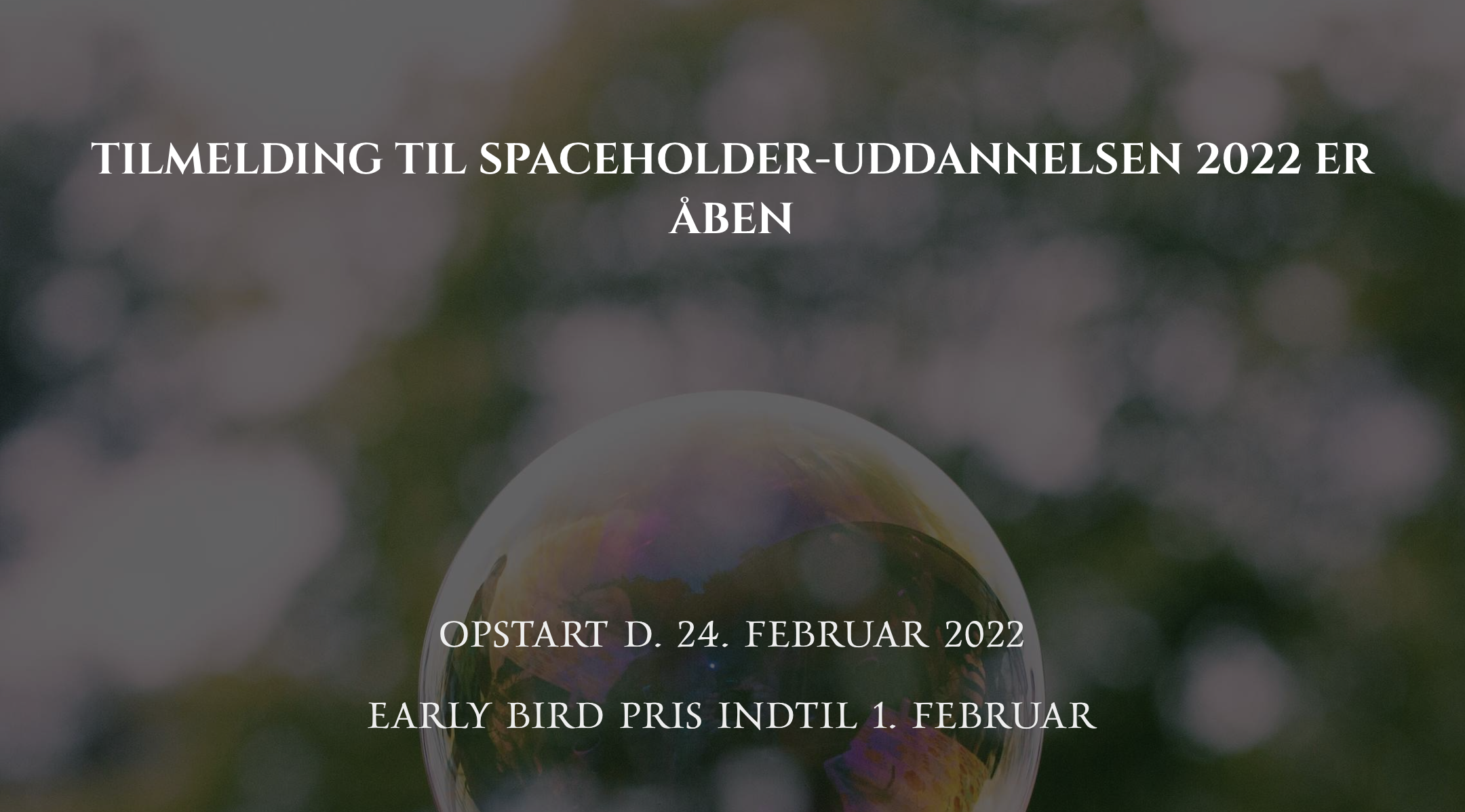Spaceholder infoside - Jesper Westmark online