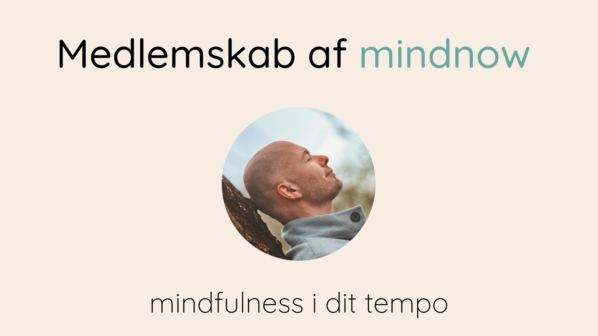 Handelsbetingelser - mindnow