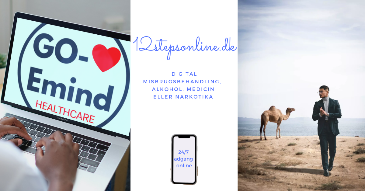 12stepsonline/behandlingscentre - 12stepsonline.dk