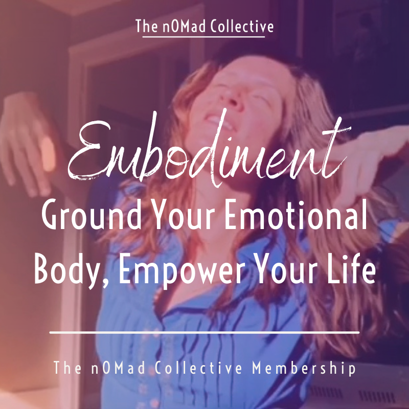 Embodiment Practices: Introduction to Mvt109™ Groundwork