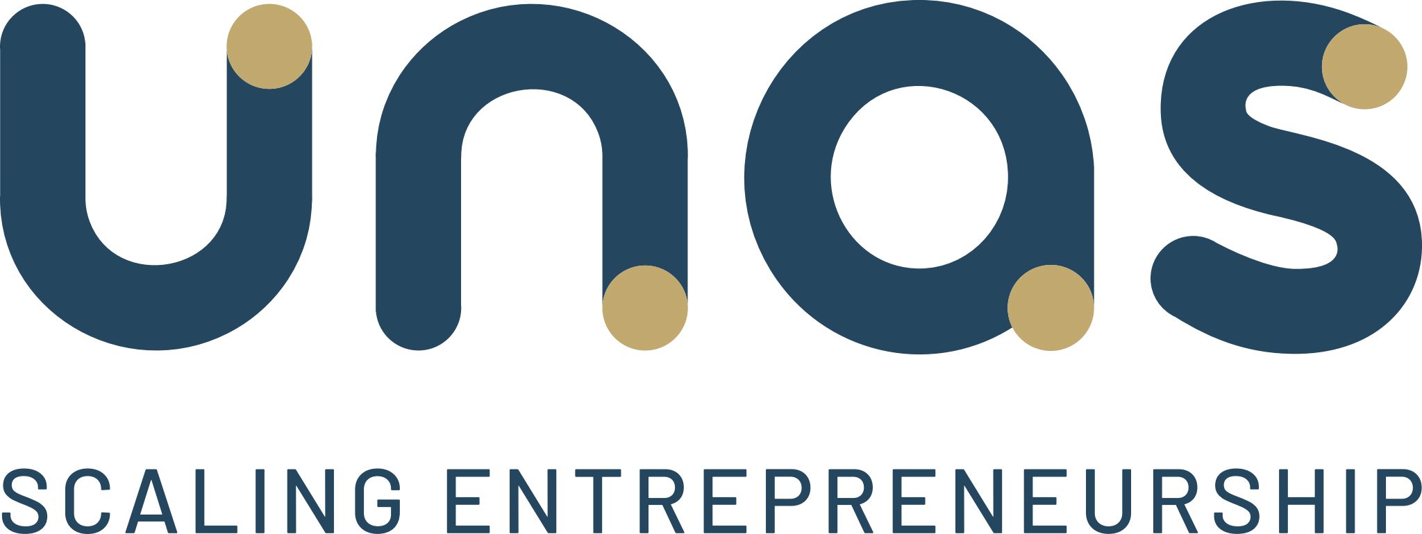 Forside - Unas Consulting