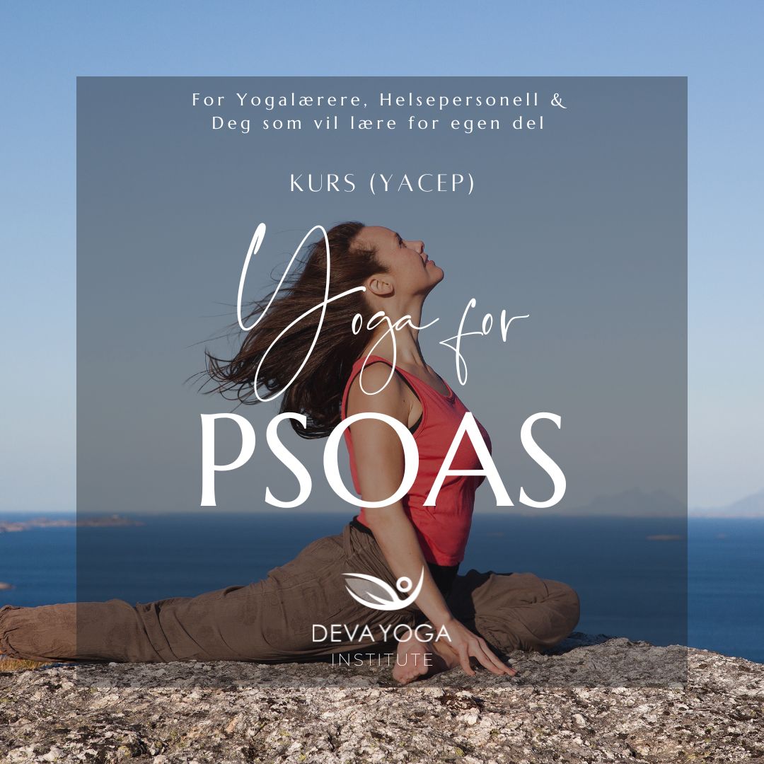 Kurs Psoas - Deva Yoga Institute