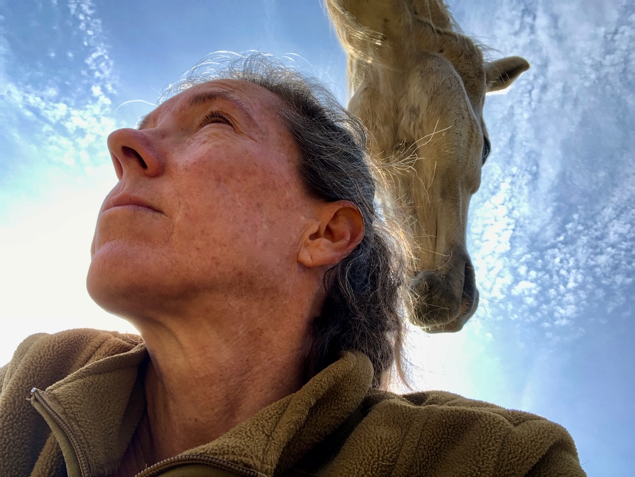 Meet Kim & The Herd - Unbridled LLC/Kim Hallin