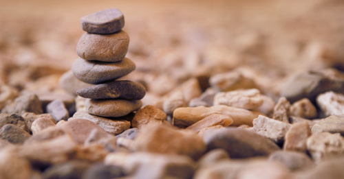 The Guide on the Side - Mindful Leader