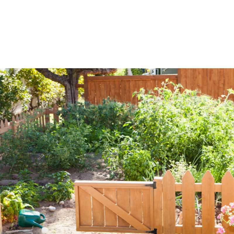 HOME - Growing Made Simple