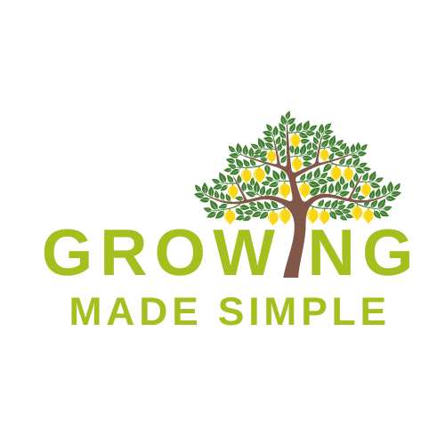 Terms and conditions - Growing Made Simple