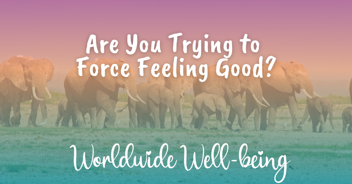 Are You Trying to Force Feeling Good? Sarie Taylor - Worldwide Well-Being