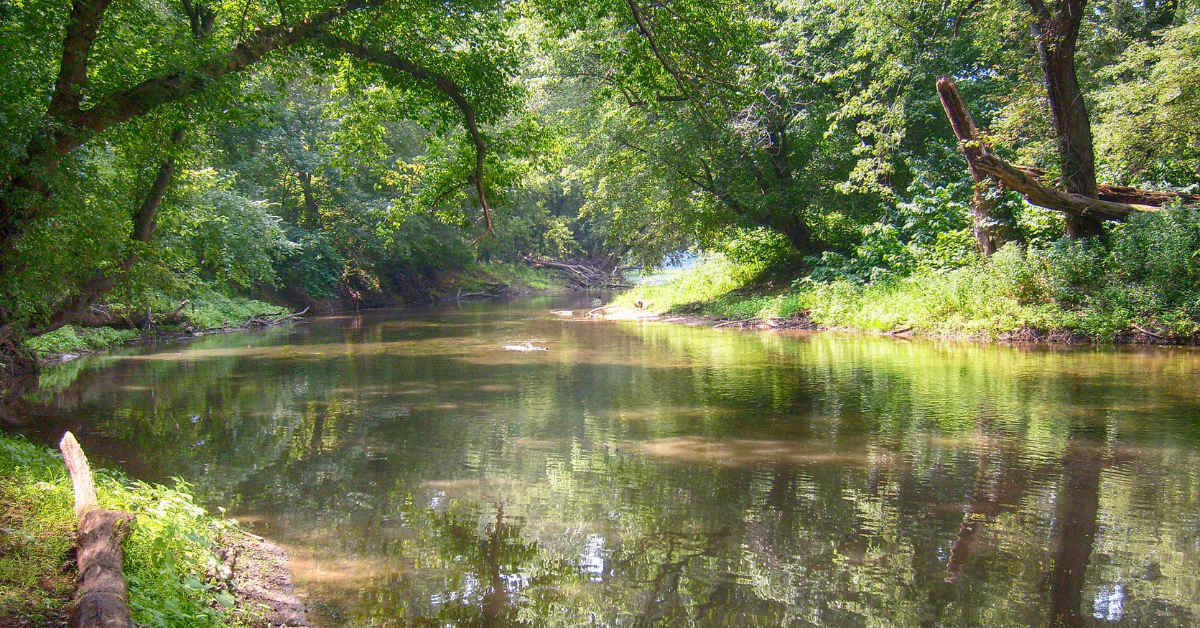 When are you like water? - Awaken Coach Institute