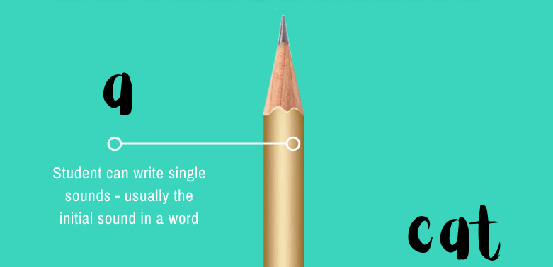 From Sounds to Sentences - Jocelyn Seamer Education