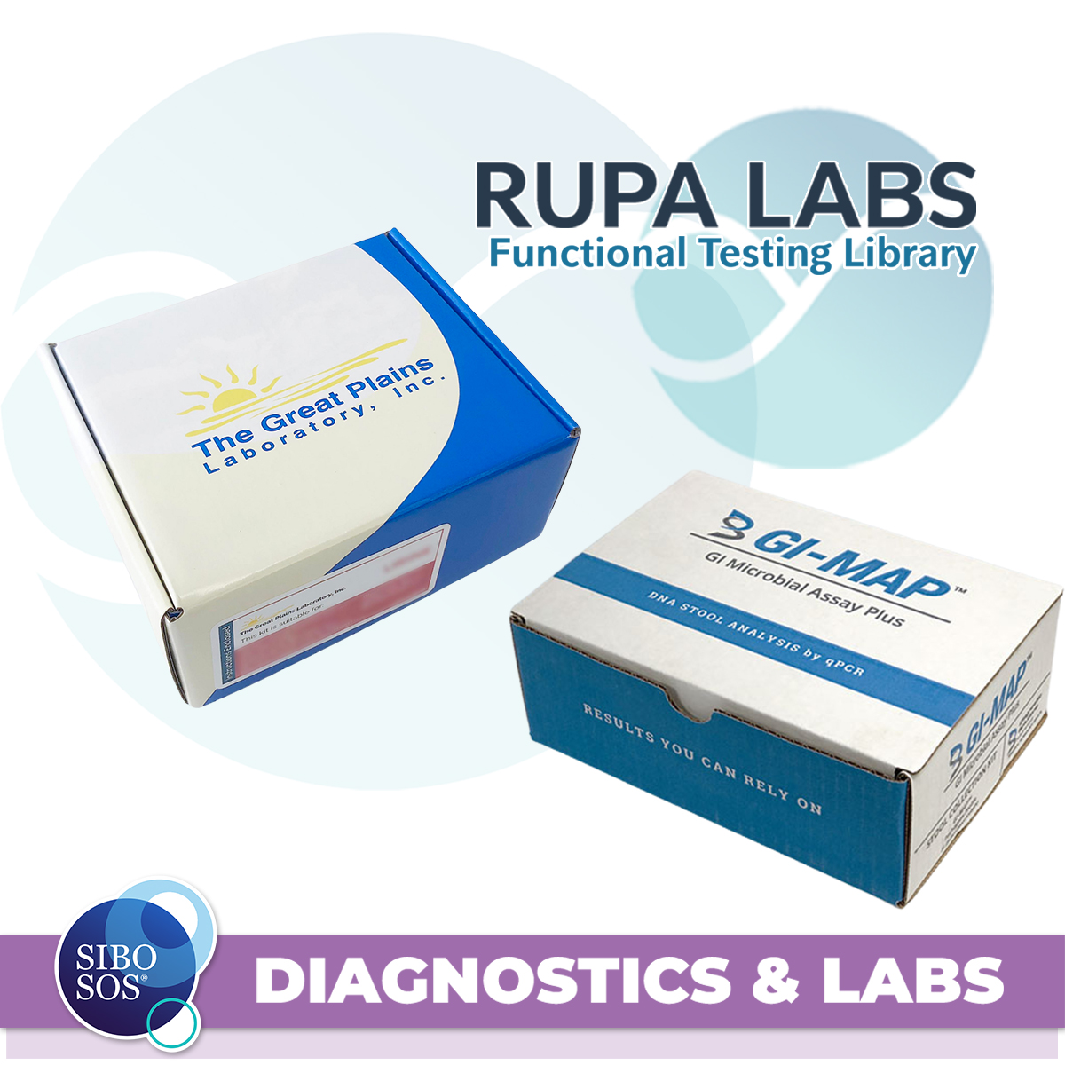 Next Steps for Treating Tough SIBO Summit + Research Updates