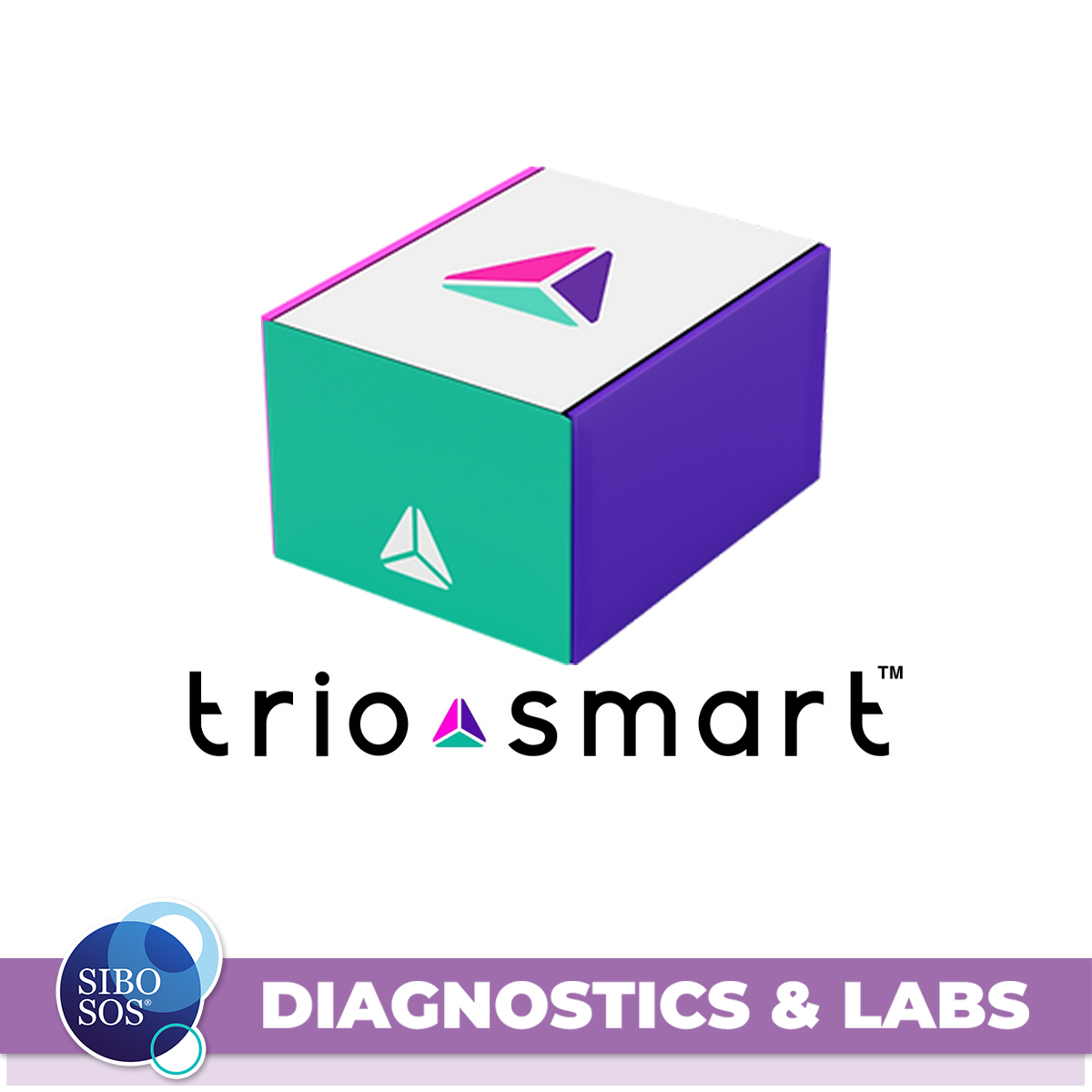 Next Steps for Treating Tough SIBO Summit + Research Updates